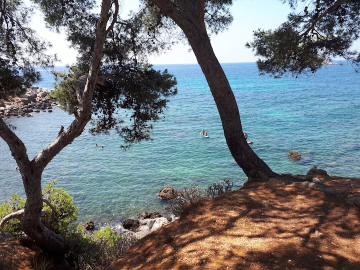 Bandol, Presqu'île Du Capelan - Bandol