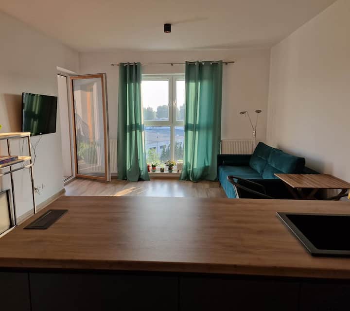 Apartament Krok Do Serca Katowic - Pologne