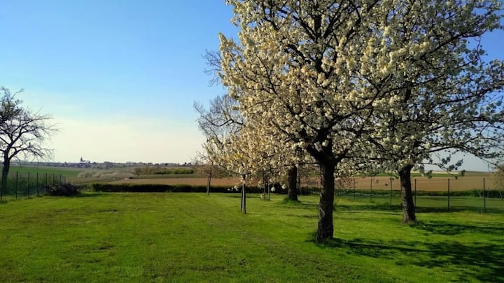 Vakantiewoning Nabij Sint-truiden (Eggenhof 2) - Sint-Truiden