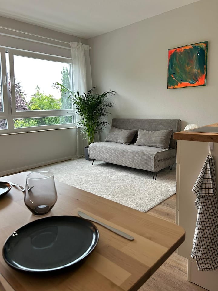 Stilvolles 1 Zimmer Apartment - Dortmund