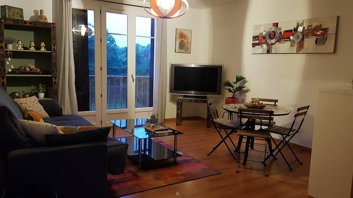 Appartement Calme Et Lumineux - Bayonne