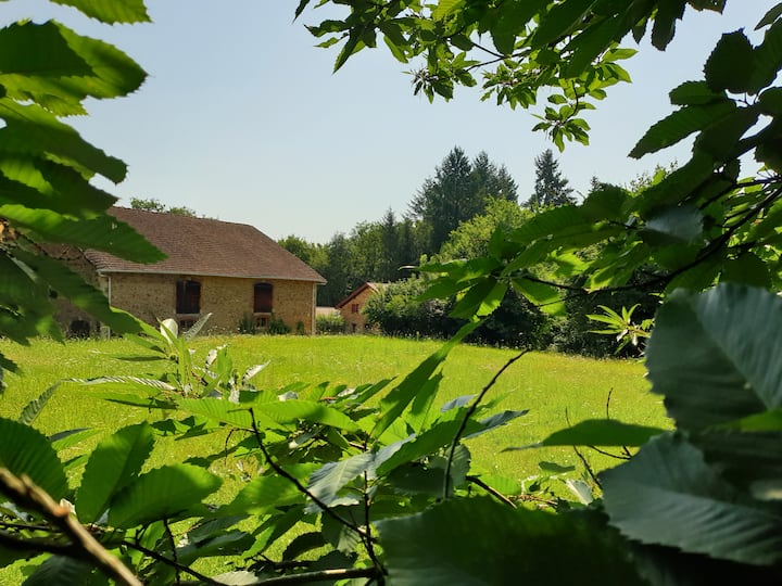 Studio 40 M2 Dans Un Parc D'1,5 H - Haute-Vienne