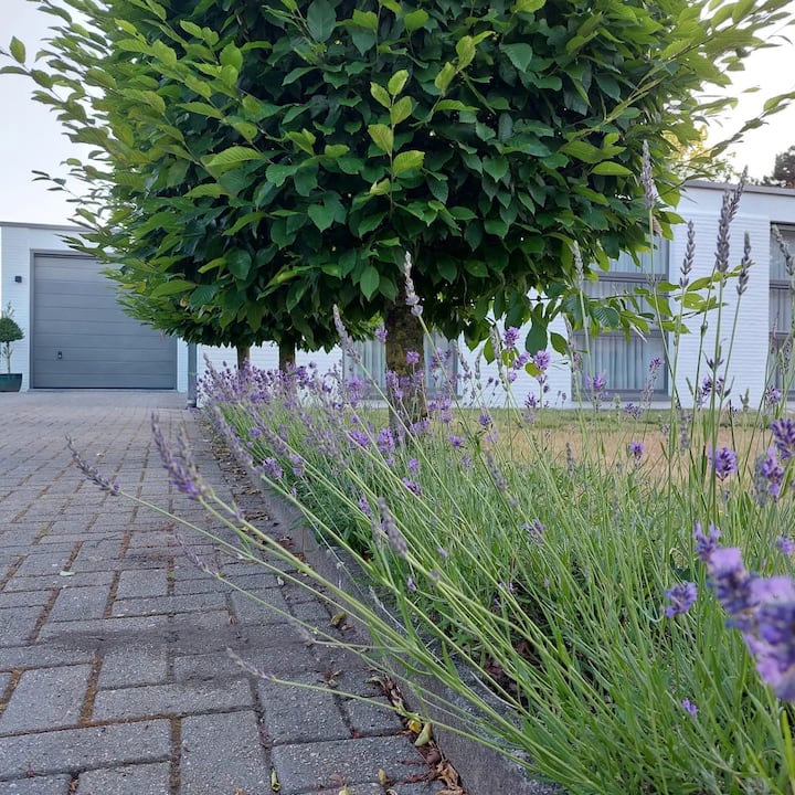 Vakantiewoning De Papendaler - Genk