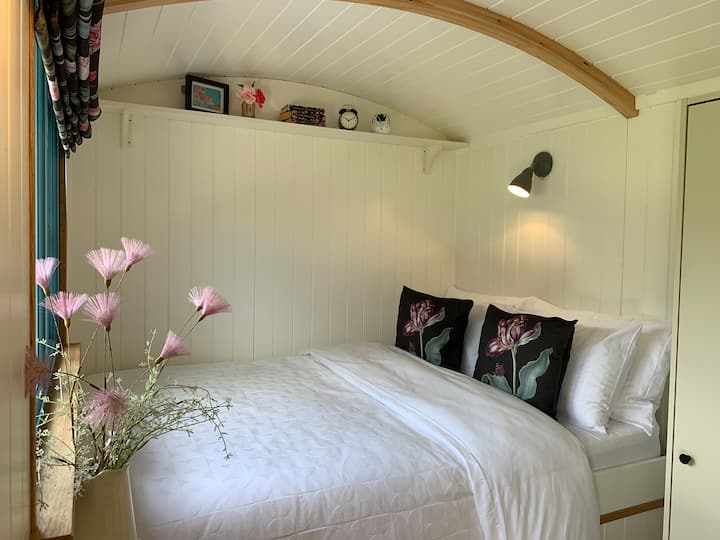 The Nauti Shepherd - Wadebridge