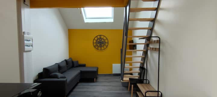 Joli Appartement En Duplex Neuf (Ile Paradisiaque) - Châteauroux