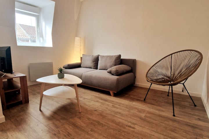 Idéal Pour 1 à 4: T2 Cosy Bien Situé Et Rénové 2 - Mulhouse
