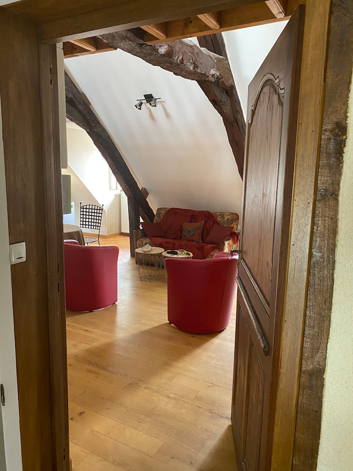 Loft Charme Duplex Volumes - Lisieux