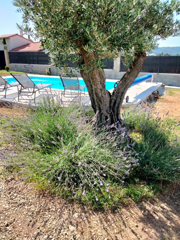 Villa Récente Avec Piscine Privée Ardèche - Tain-l'Hermitage