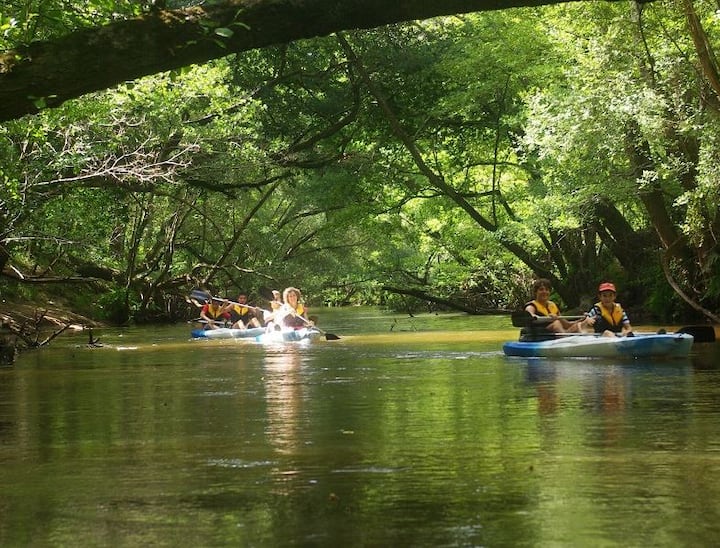Campagne & Sites Touristiques - Belin-Béliet