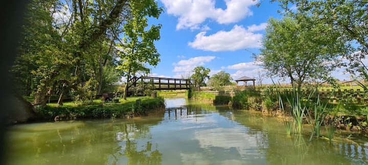 Beavers Cabin - Luxury Glamping Cambridge - イギリス ニューマーケット