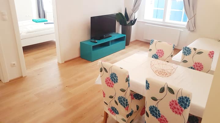 Large 3 Br Apartment, District 1 With Ac (A14) - Wien