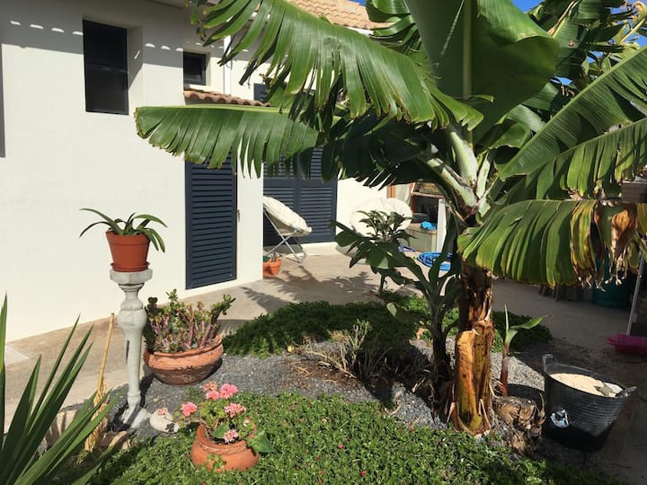Quarto Verde - Porto Santo Island