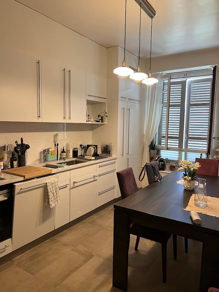 Charming 2 Bedrooms Apartment - Cenevre, İsviçre