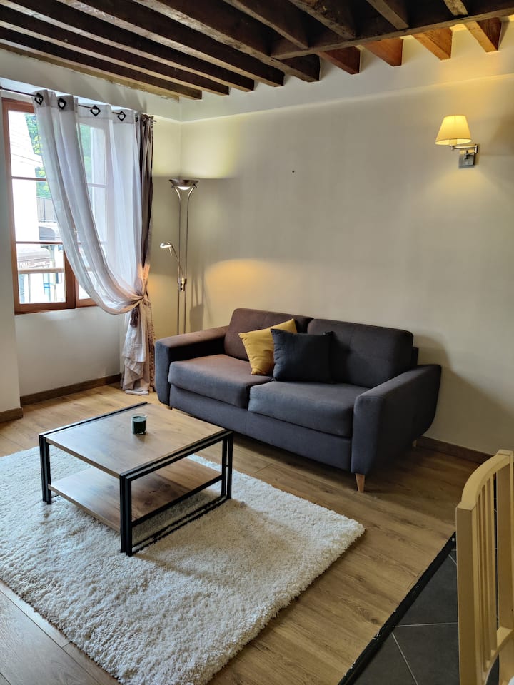 Appartement 4/6 Pers Proche Versailles - Bougival