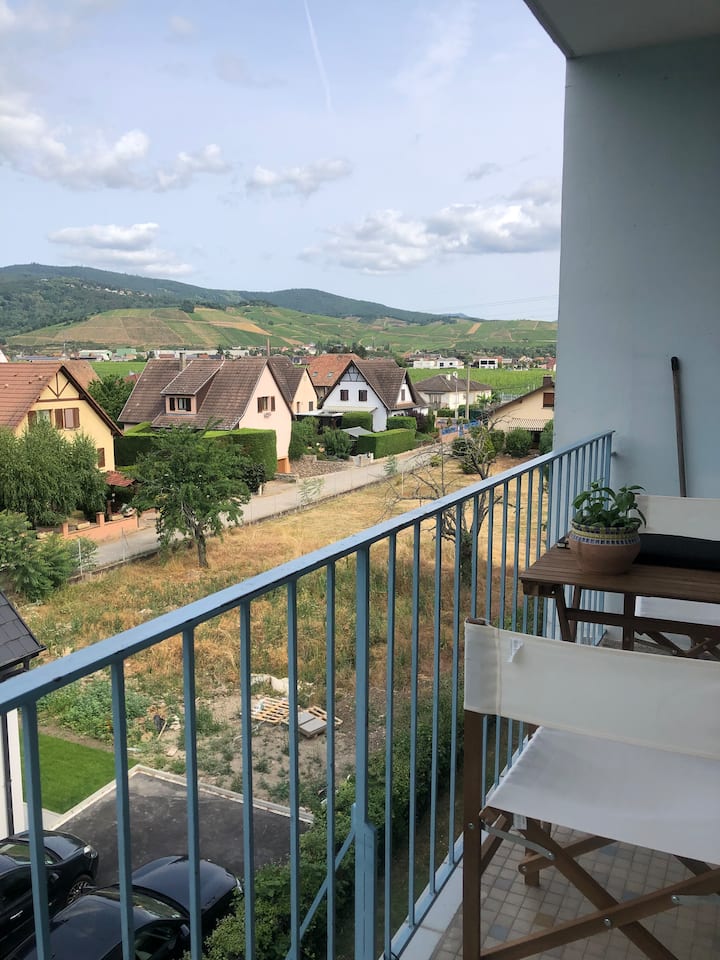 Appartement - Wintzenheim - Turckheim