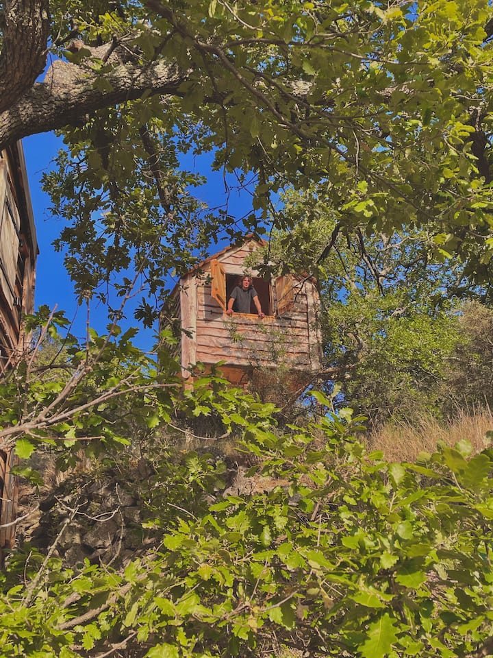 Cabane Dans Les Arbres "Boréale" - Terrasse & Vue - Ille-sur-Têt