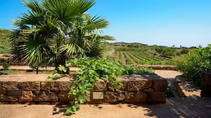 Dammuso Mulino - Pantelleria