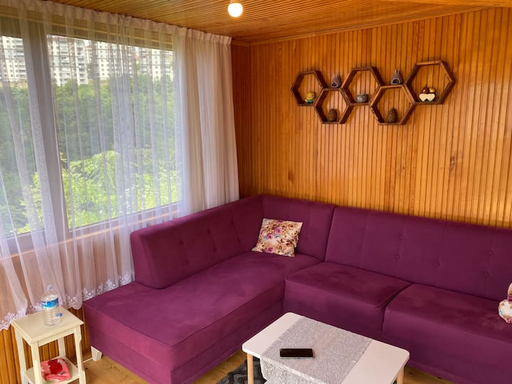 Merkeze Yakın Doğayla Başbaşa Müstakil Bungalov - Trabzon Il, Türkiye