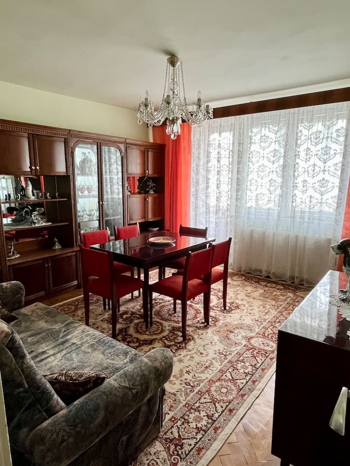 Old School Style Apartment - Bistrița