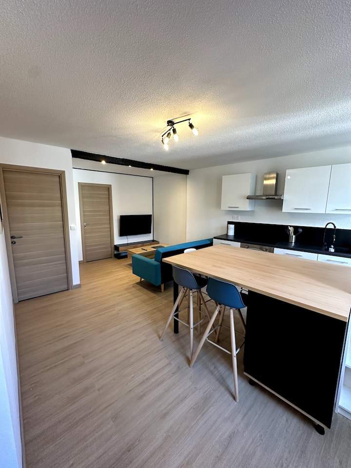 Magnifique T3 Centre Saint Donat - Bren