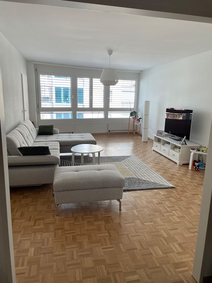 Spacious Apt Eaux-vives: Lake, Parks, City Center - Genève