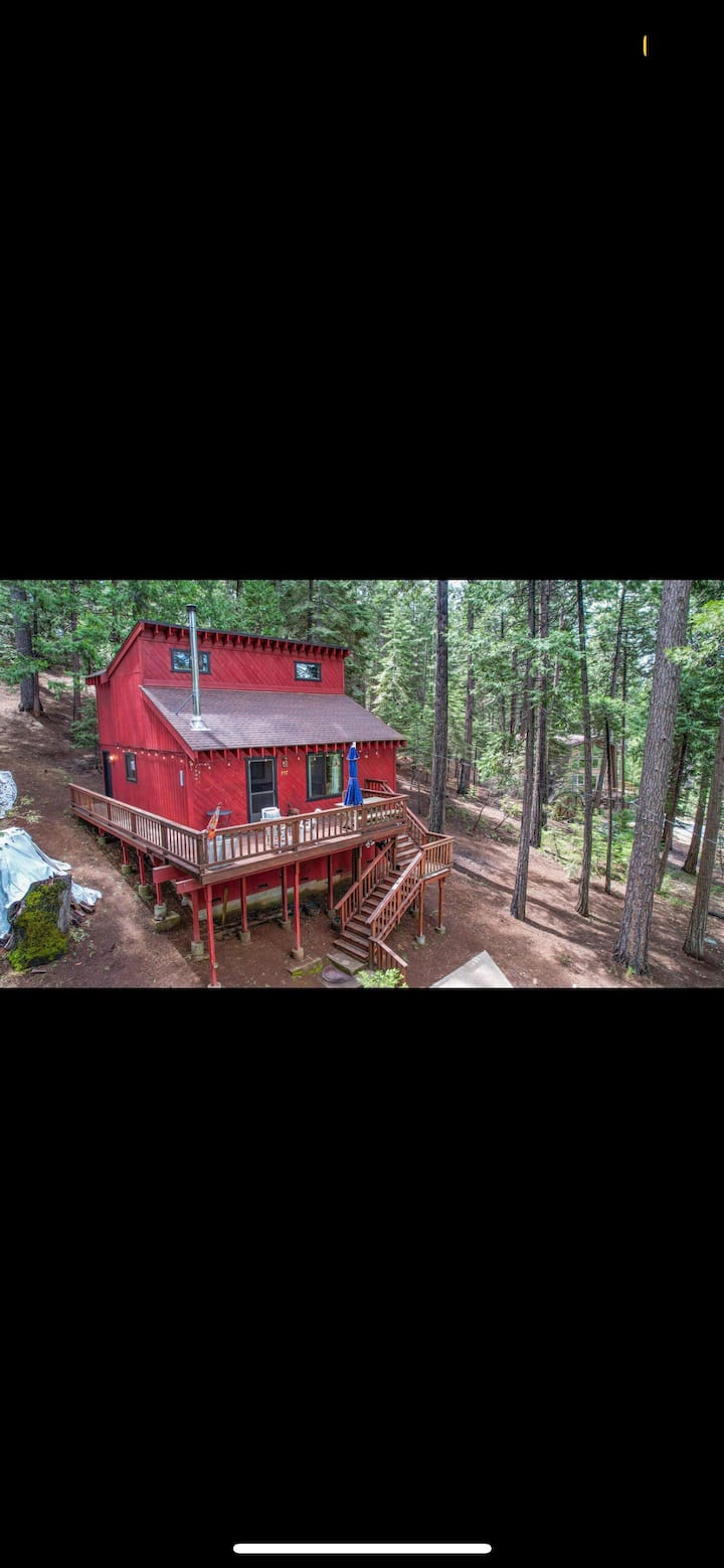 Red Bear Cabin - Arnold, CA