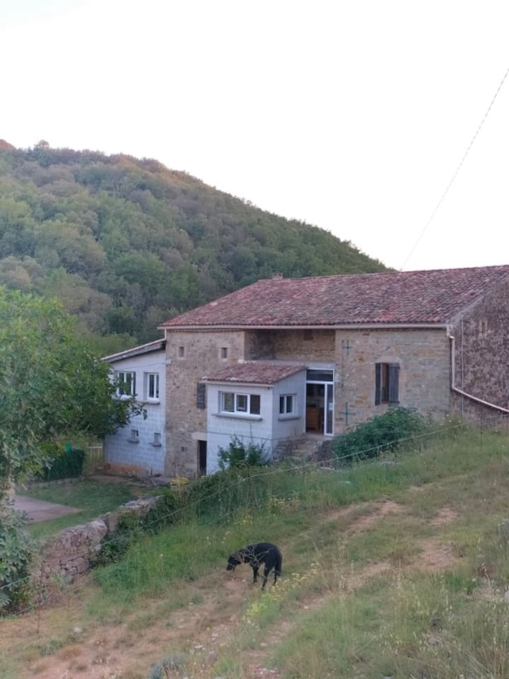 Chambres D'hôtes Forêts Alentour - Barjac