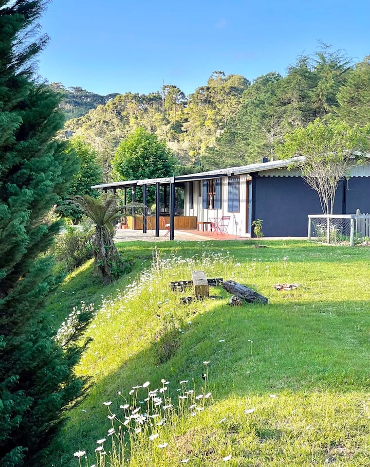 Natureza, Cidade E Montanha! - Campos do Jordão