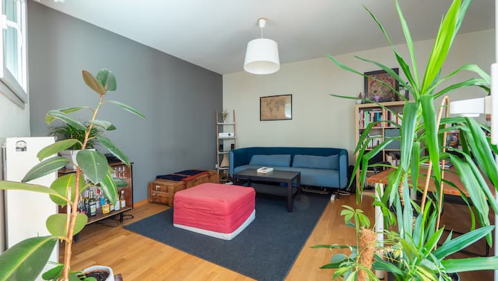 Appart Calme Centre Strasbourg - Strasbourg