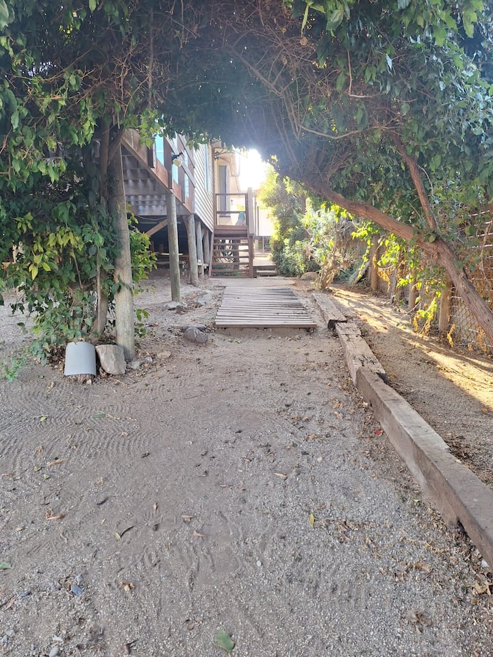 Casa Maitencillo, 10 Personas - Zapallar