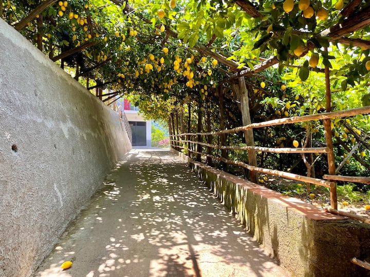 Tenuta Donna Giovanna - Maiori