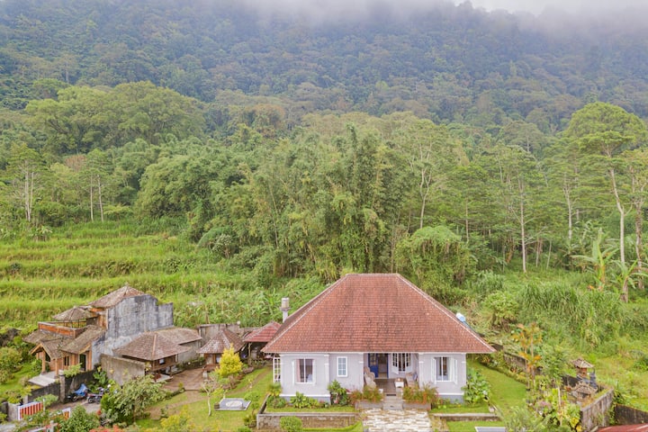Comfy Villa And Rustic Wooden Cabin In Bedugul - Munduk