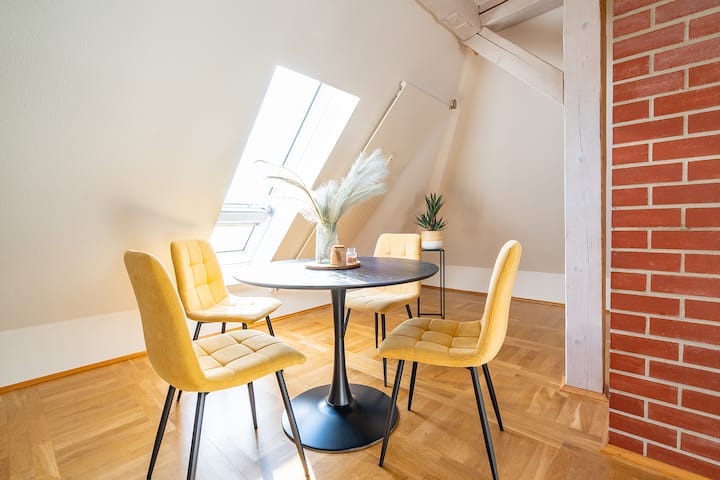 Modern And Central Apartment View On Elbe Castles - Dresden