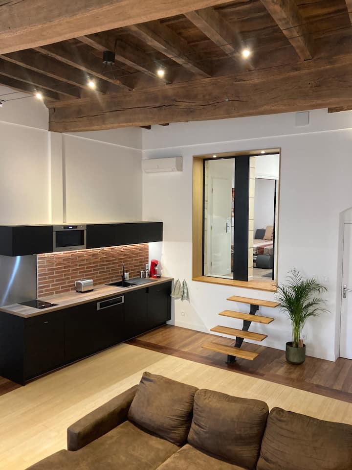 Appartement Centre Historique - Albí