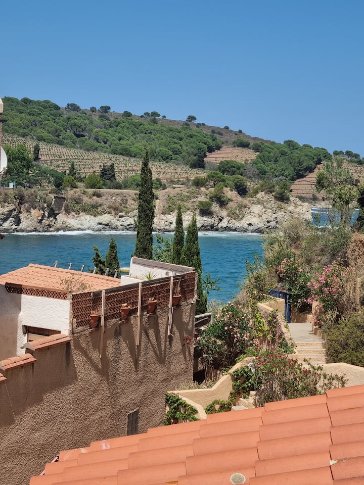 Studio Accès Direct à La Plage - Banyuls-sur-Mer