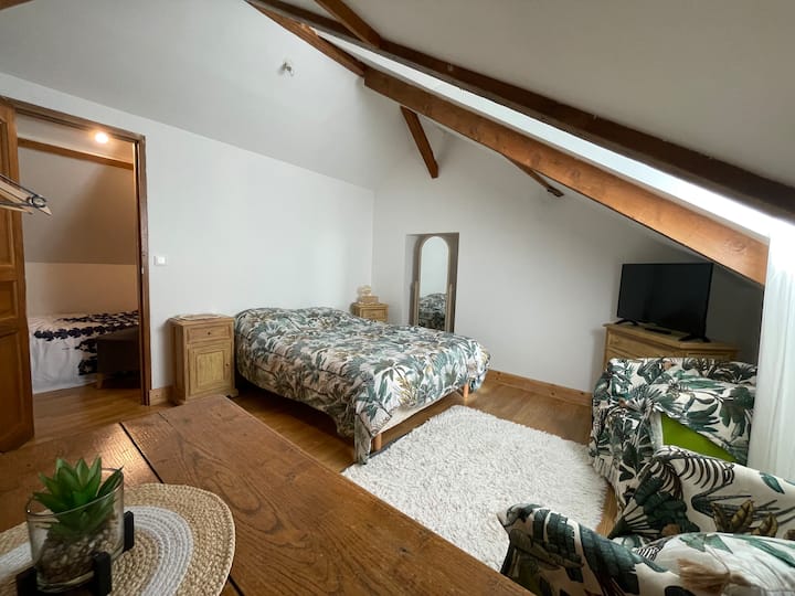 Appartement Meublés 2 Piéces - Sées
