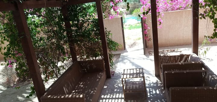 Appartement Charmant - Tozeur