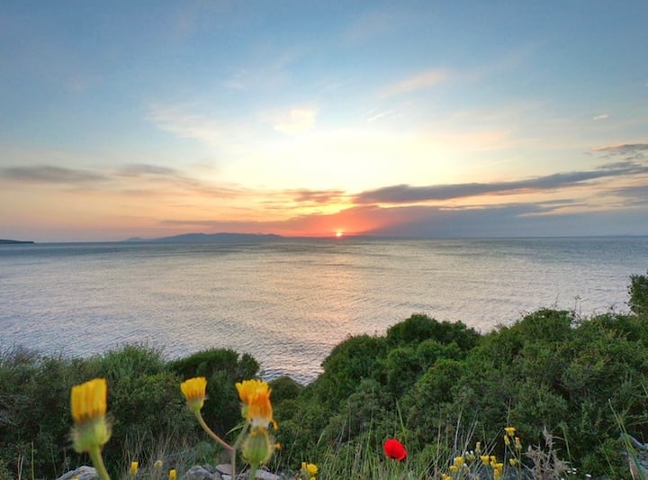 Balina - İzmir