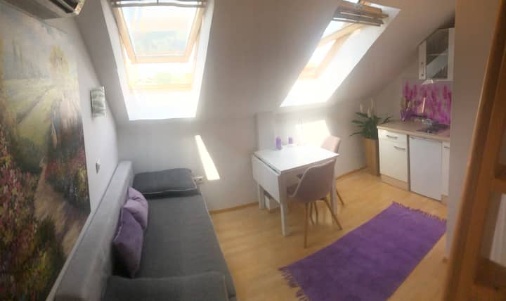 Tiny Loft Retreat - Ljubljana