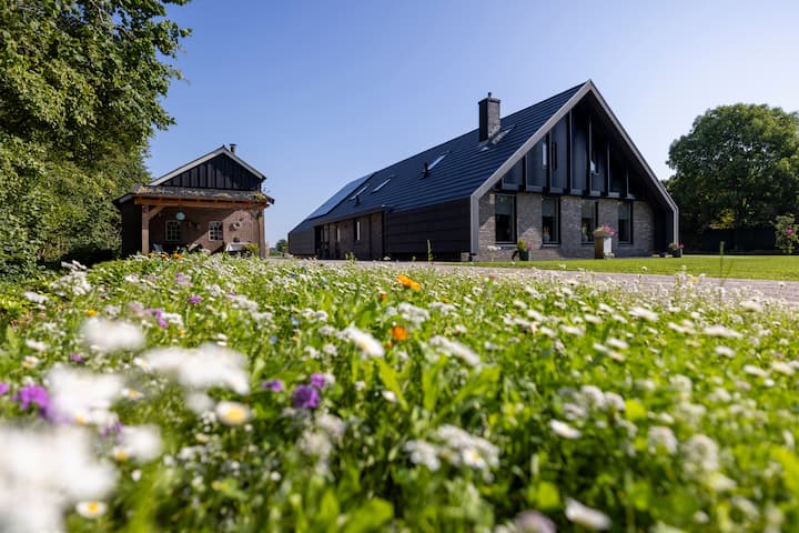 Vakantiehuis De Puntlanden - Overijssel