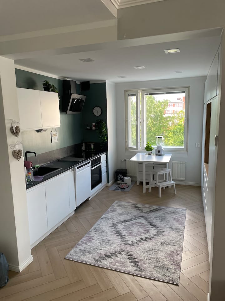 Ironman 70.3 Apartment In Citycenter Of Lahti - Lahti