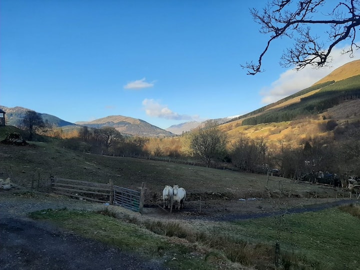 Balquhidder View Luxury Cabin - Killin
