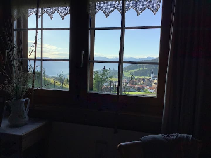 Appenzeller Haus - Nebelfreies Paradies - Lac de Constance