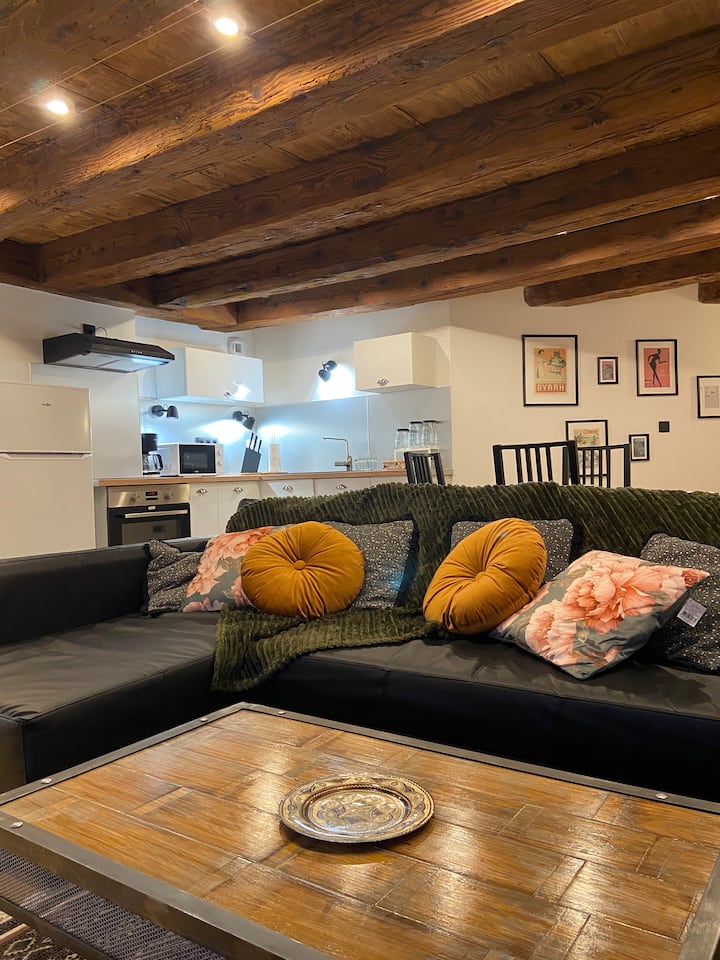 Logement Au Cœur Du Vieux Dole - Dole