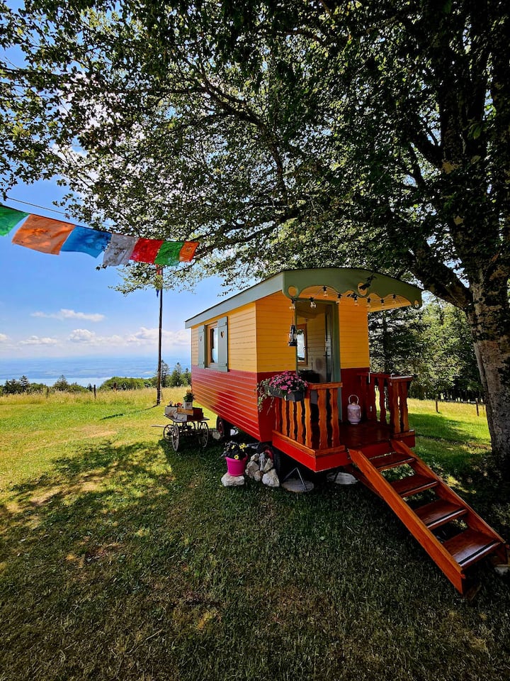 La Tzigi'roulotte - Yvonand