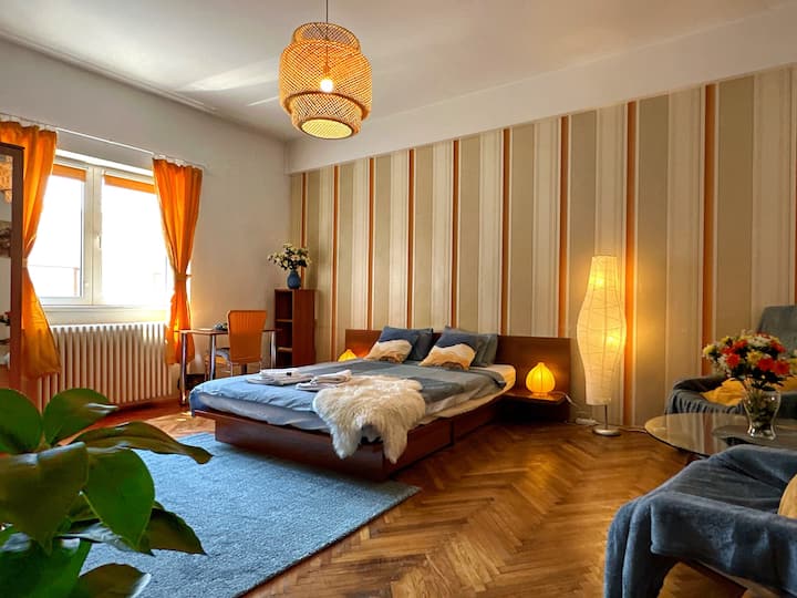 Victoriei Cozy Apartment - Bucharest