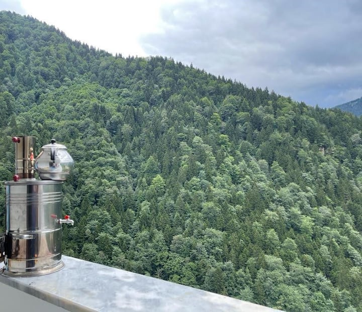 Dinlenme Evi - Trabzon