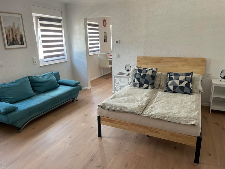 Apartment Mirabelle 4 - Sarrebruck