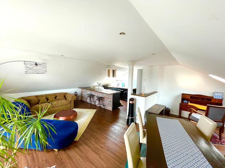 Lichtdurchflutetes Wohlfühl-loft - Mainz