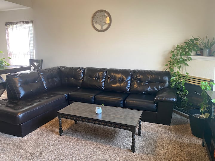 Cozy 1 Bedroom Near Hwy 63 & I70 - Columbia, MO